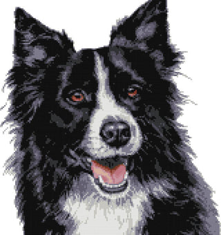 Dogs cross stitch kits | Yiotas XStitch