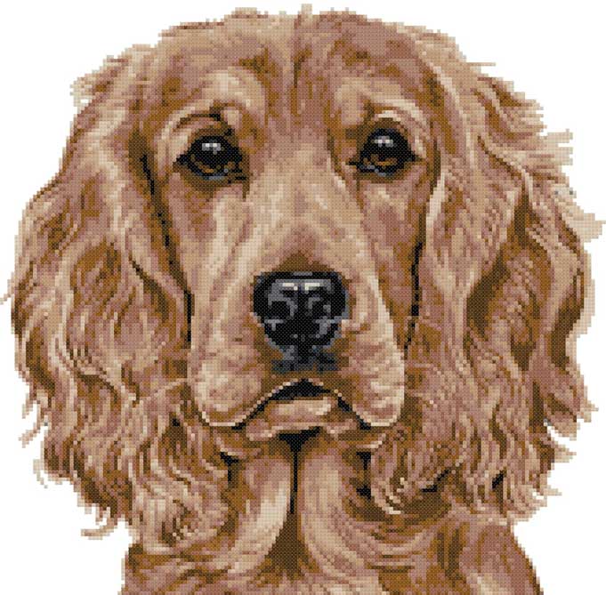 Dogs cross stitch kits | Yiotas XStitch