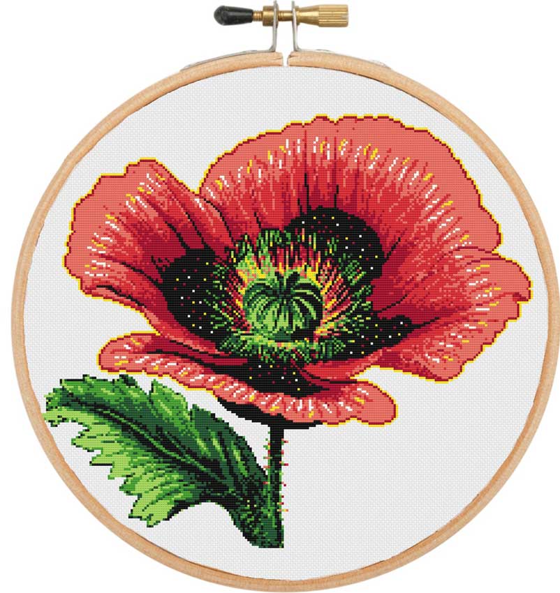 Poppy in bloom cross stitch kit | Yiotas XStitch