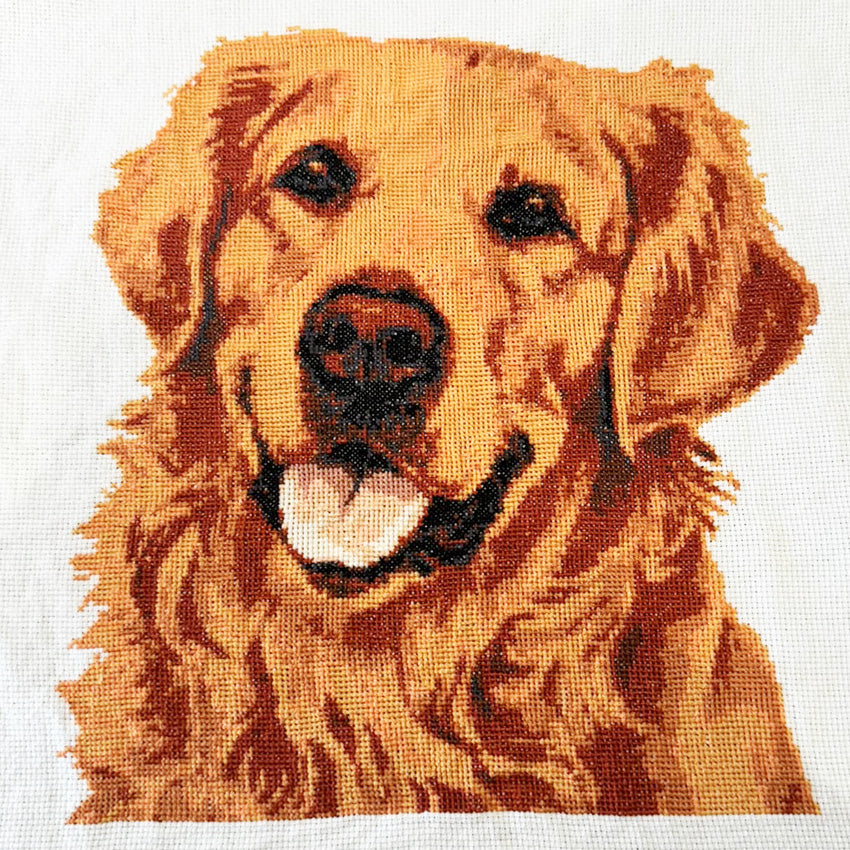 Red golden retriever counted cross stitch kit | Yiotas XStitch